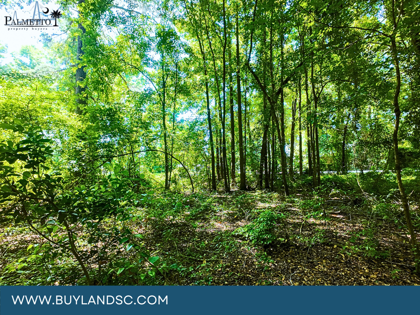 4.75 Acres RAW LAND on Pitts Rd Tax Map 1830004004 (Sumter County ...